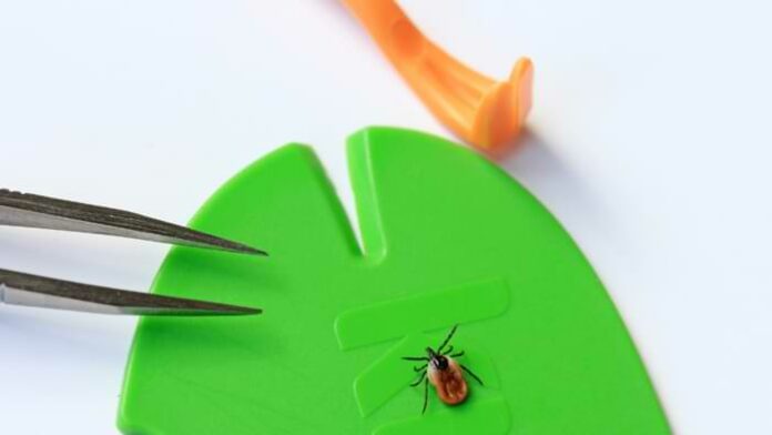 Quel est le Meilleur Tire Tique (Humain, Chien, Chat...) ? Comparatif